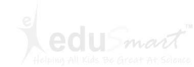 EduSmart | Helping All Kids Be Great At Science